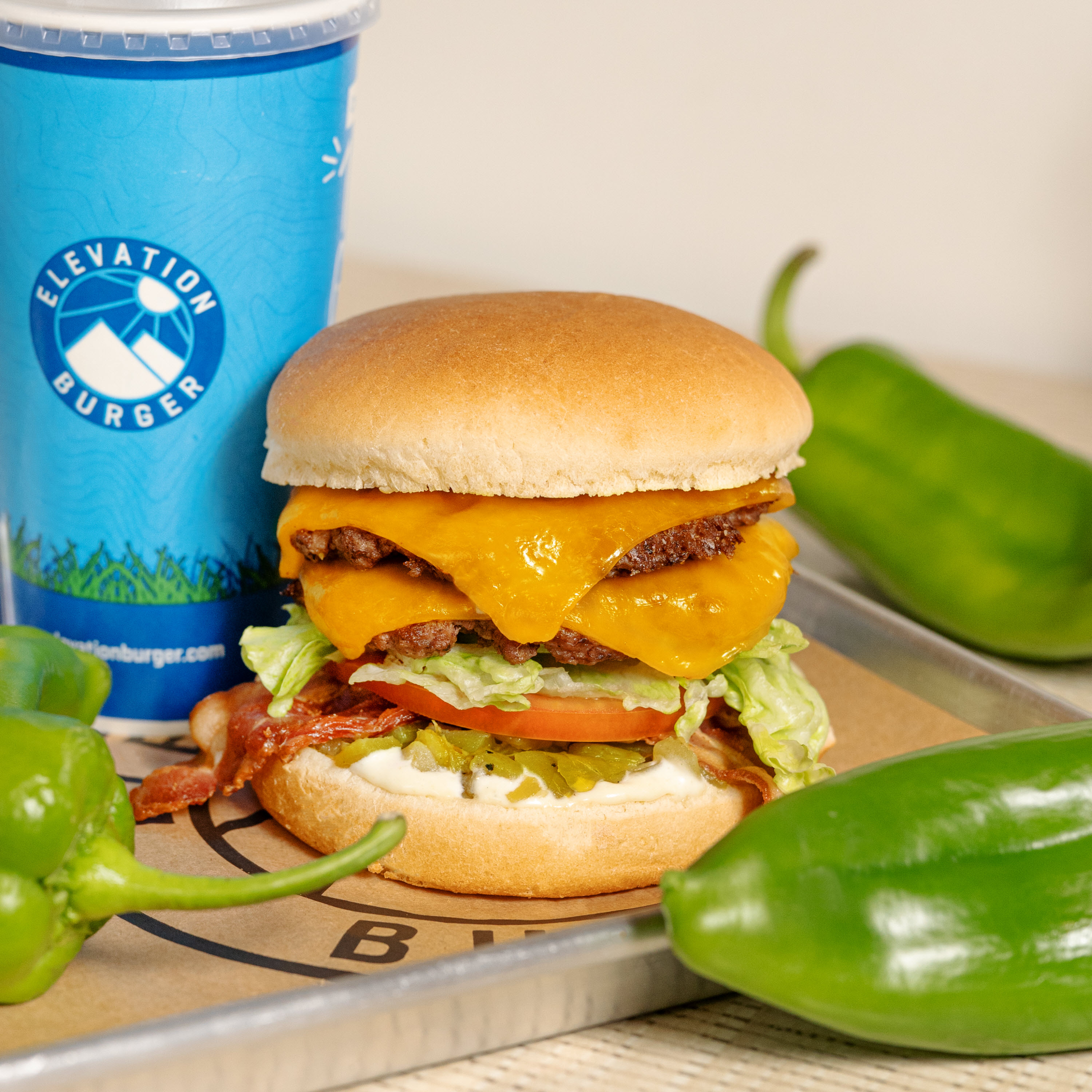 Elevation Burger Willow Grove, PA: USDA certified organic, 100% grass ...
